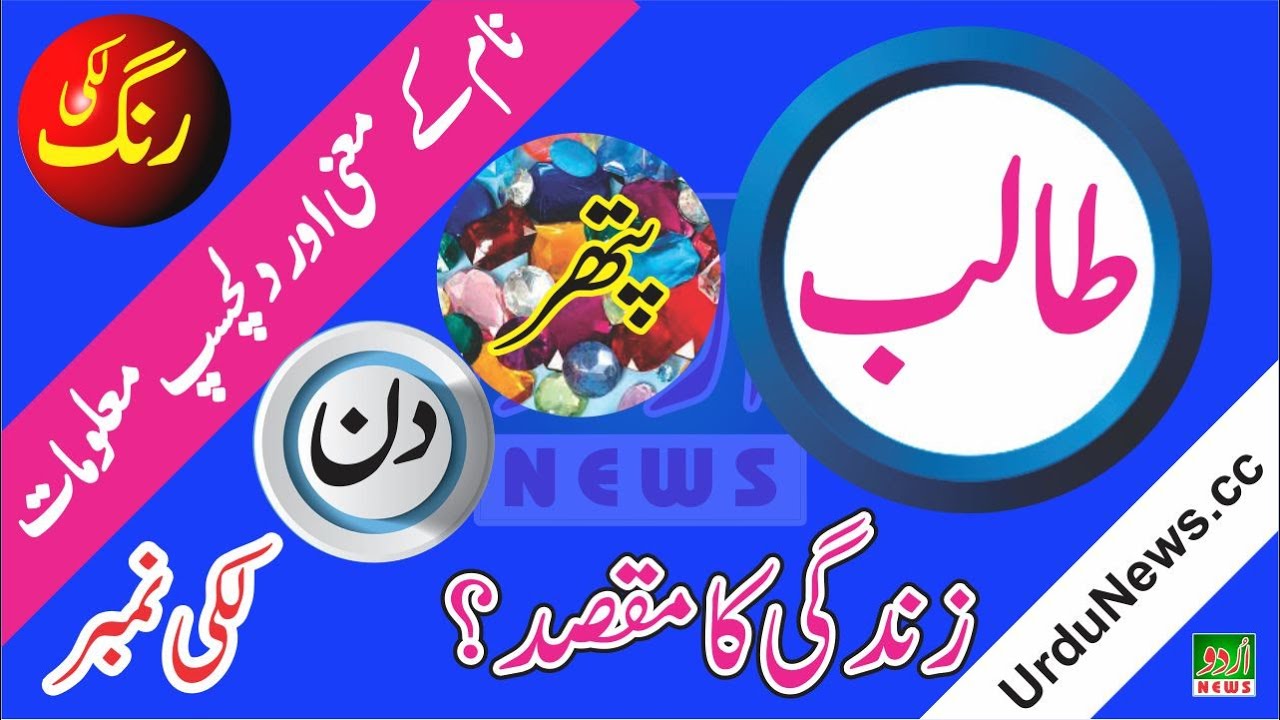 Talib Name Meaning in Urdu and Lucky Number | Islamic Boys Name | Dr ...
