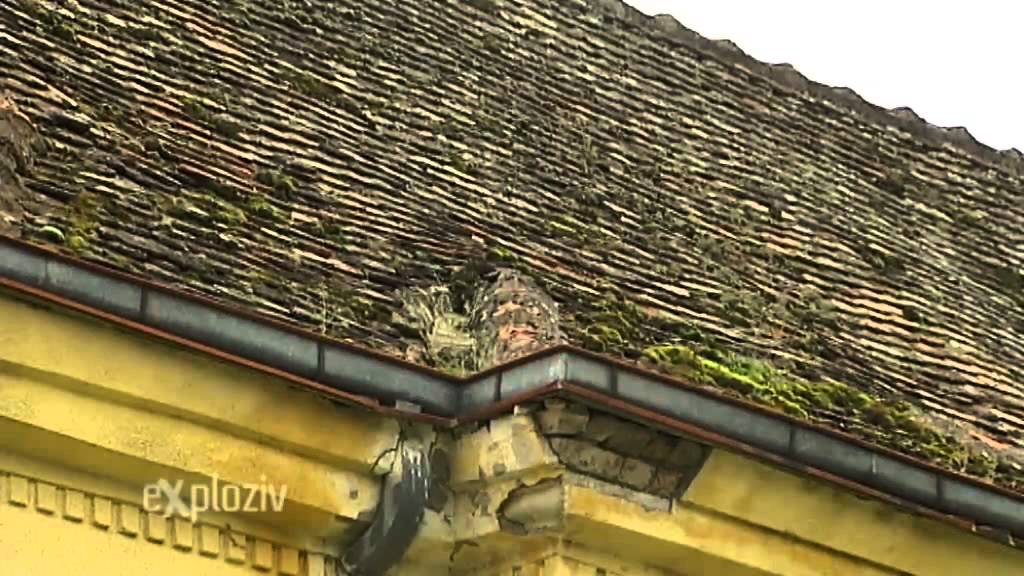 Prva Srpska Televizija Exploziv - YouTube