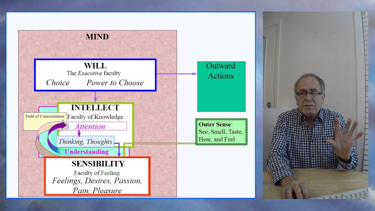 Moral Heart section 1c - YouTube