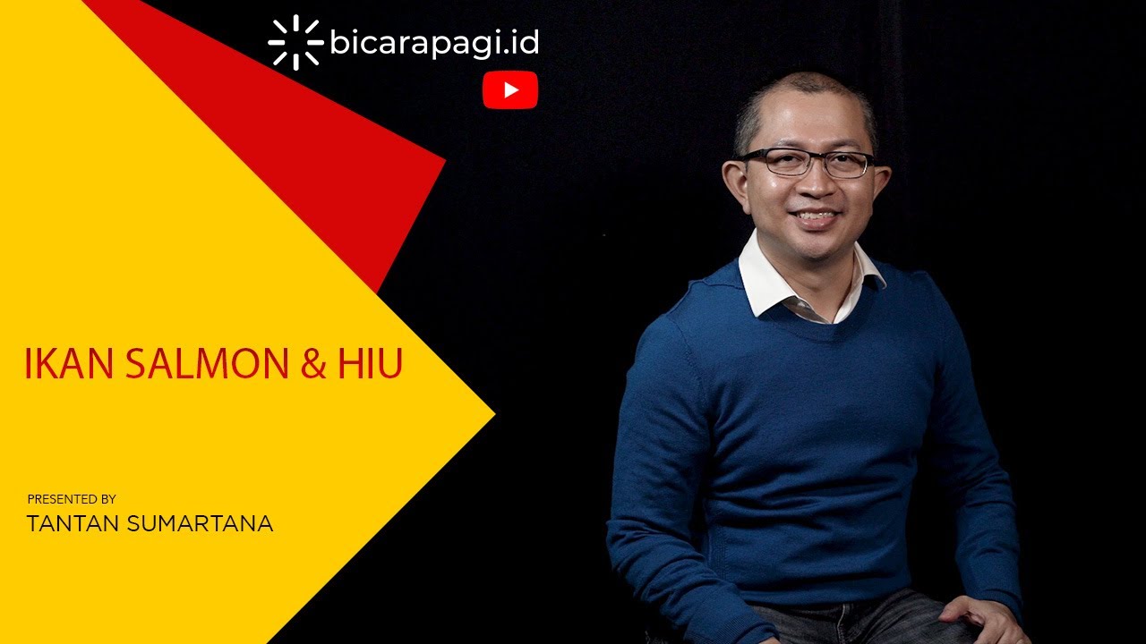 Ikan Salmon Dan Hiu - YouTube