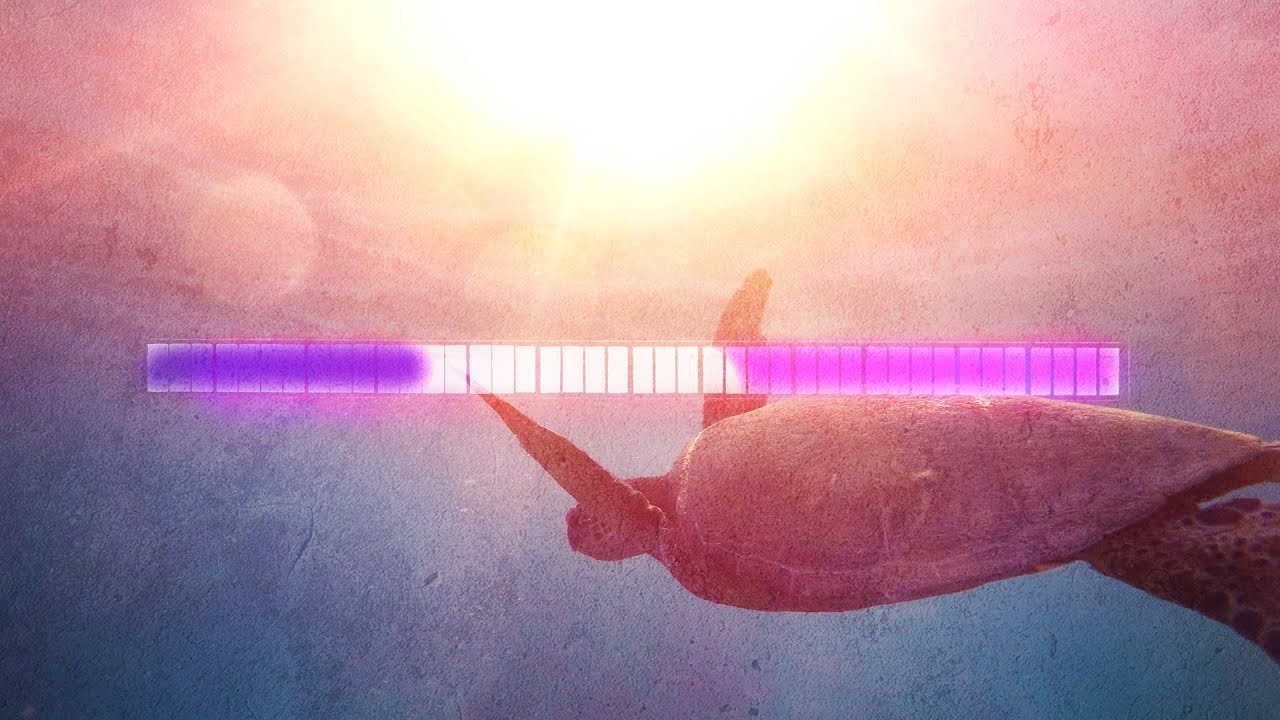 Aeron Aether - Summaer On [Silk Music] - YouTube