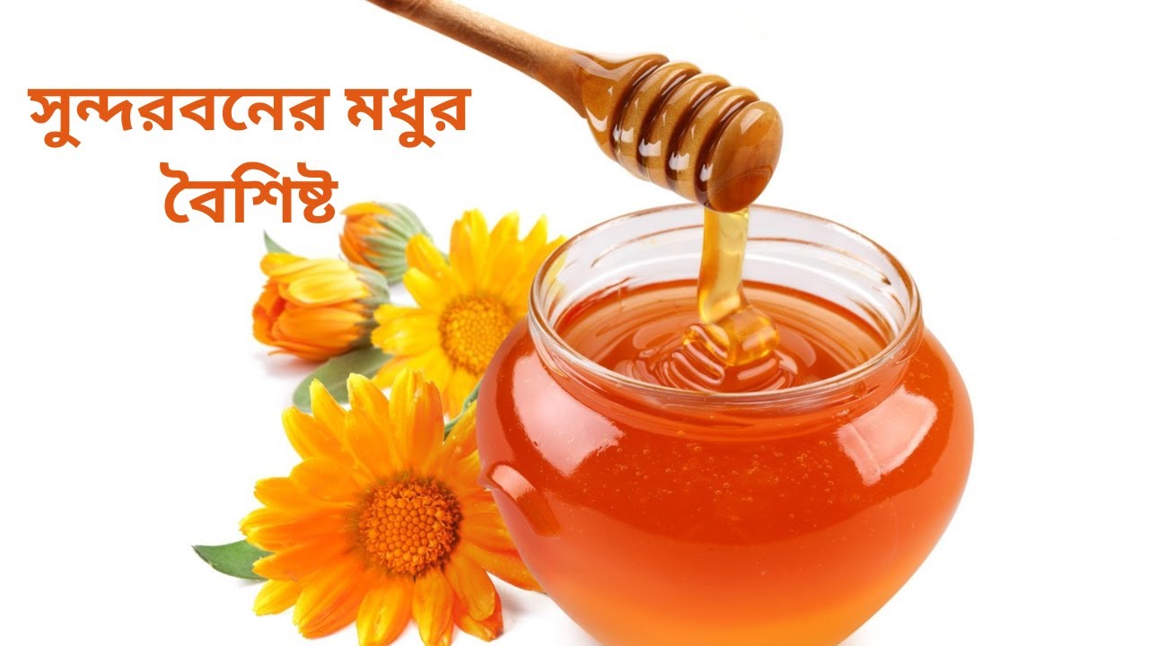 সুন্দরবনের মধুর বৈশিষ্ট, Sundarban Honey, Honey, Sundorbon Honey - YouTube