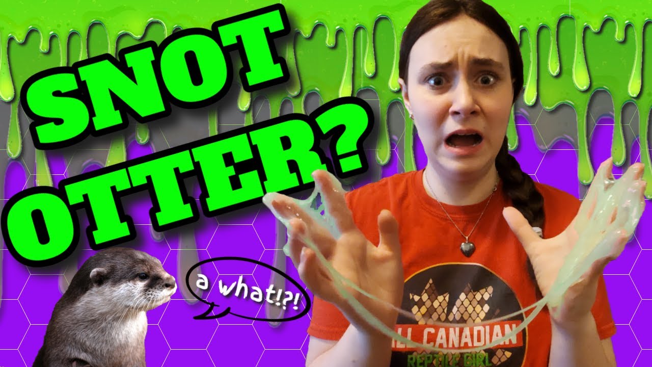 THE HELLBENDER!! - North America's Biggest Amphibian! - YouTube