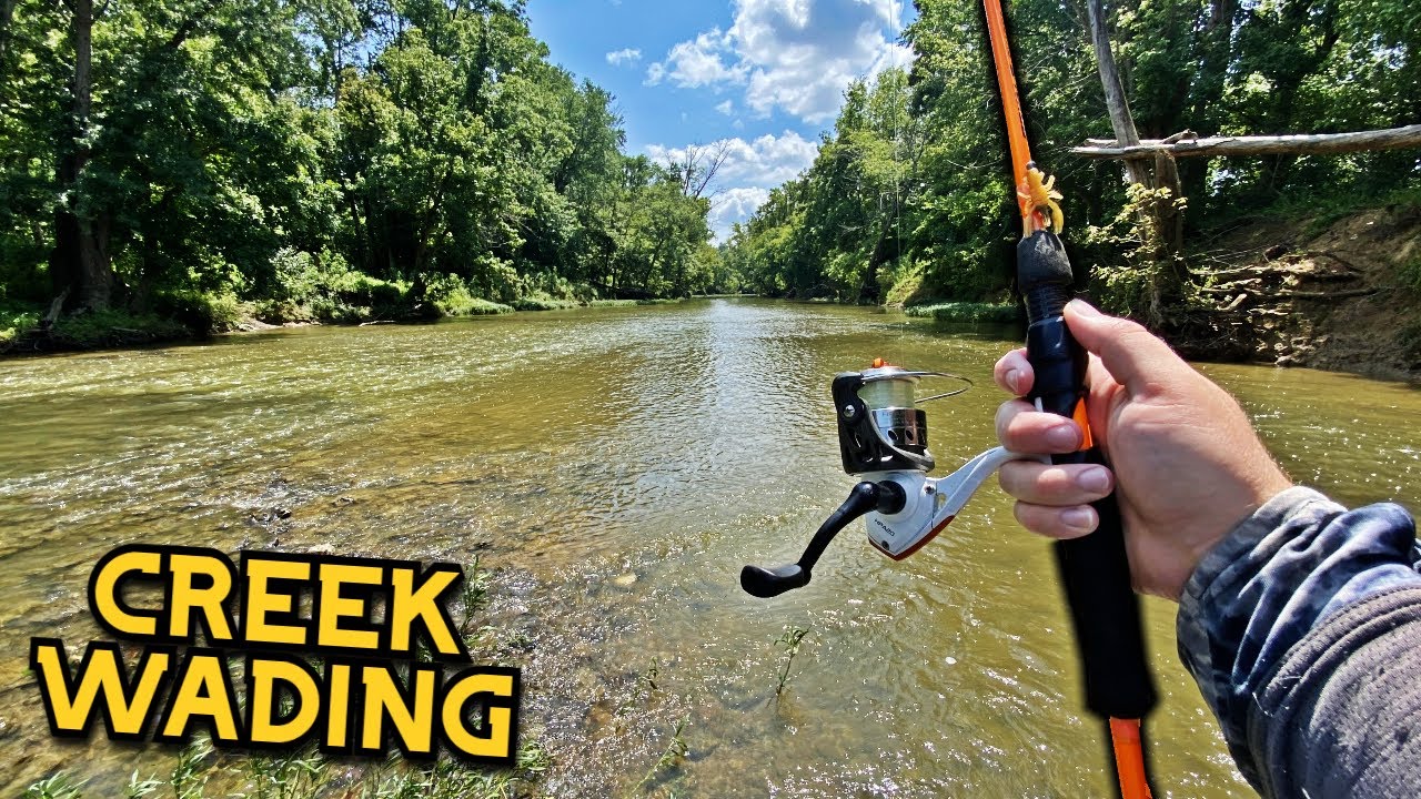 Creek Wading For Smallmouth & Rock Bass - YouTube
