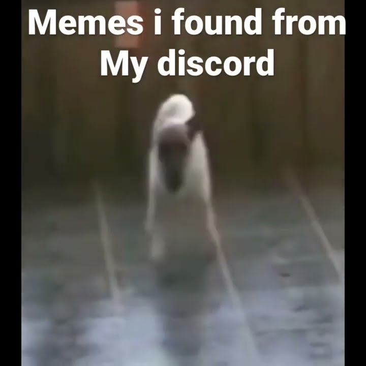 Goofy Ahh MEMES I FOUND IN RANDOM DISCORD SERVERS - YouTube