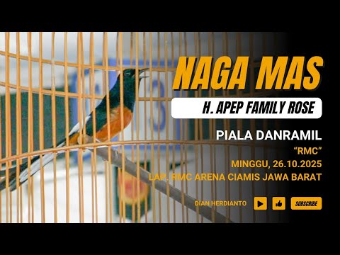 NAGA MAS TAMPIL NEKEN DENGAN AMANKAN JUARA SATU | PIALA DANRAMIL ft RMC ...