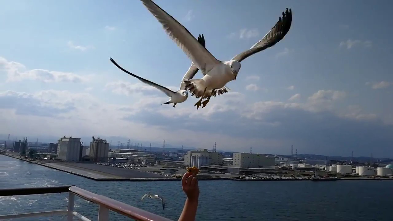 Japan Explorer Cruise 2017 - YouTube