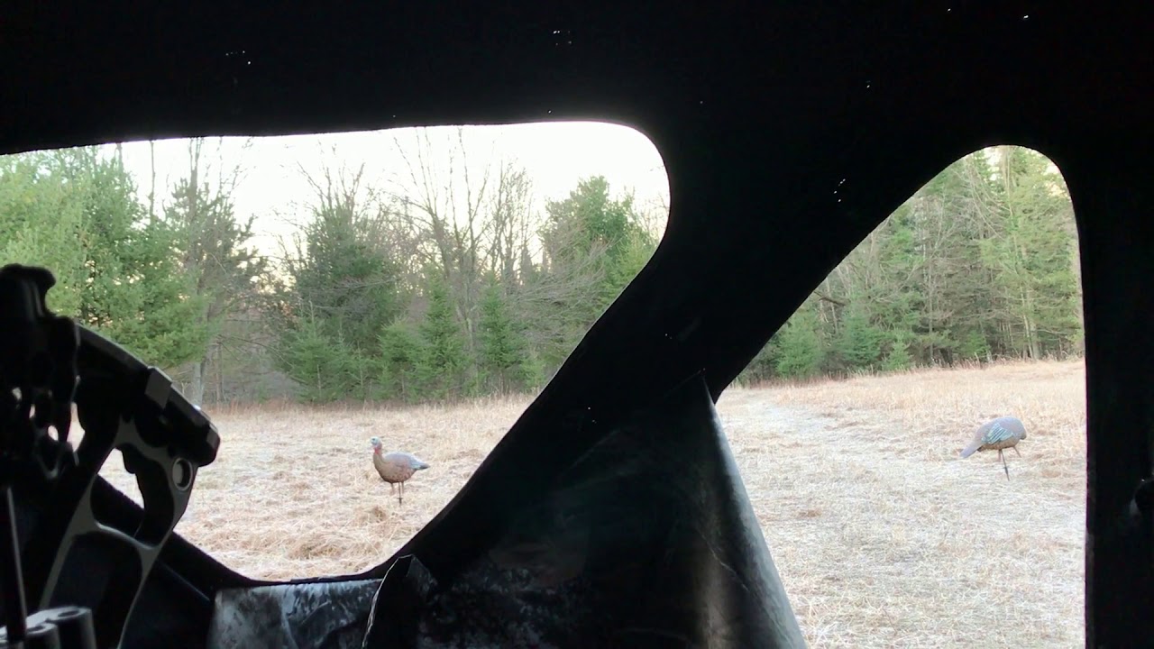2019 Spring Turkey Tag Filled! - YouTube