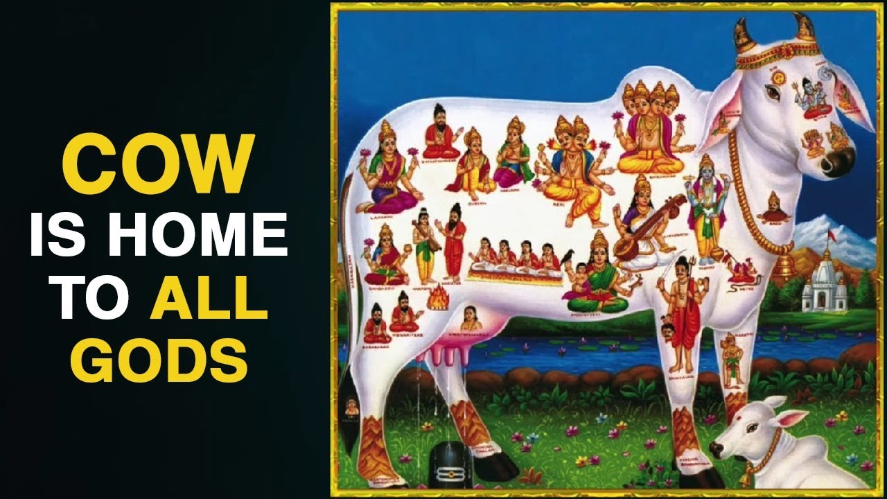 Cow is Home to All Gods | Worship of Gomatha | Devotional | Mango ...