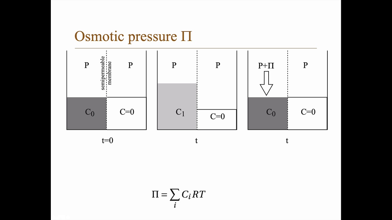 3 models for permeate flux (DRAFT video on membrane filtration) - YouTube