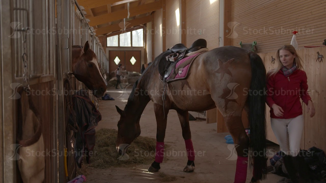 Girl Stable Horse - YouTube