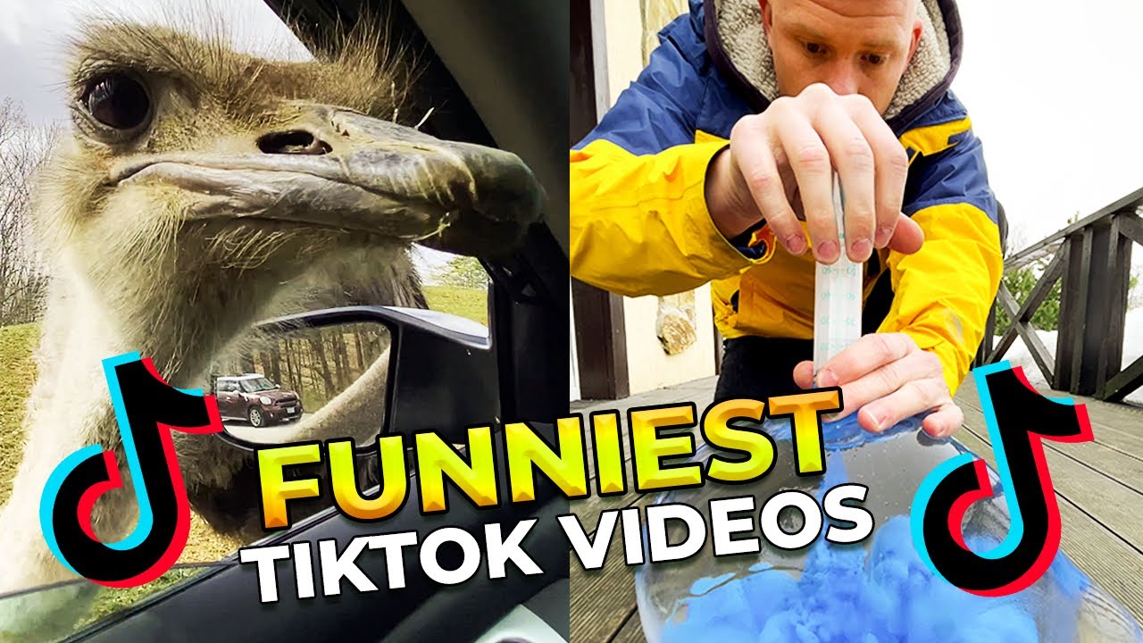 Hilarious TikTok Videos 2023 | Funny TikTok Compilation || WooGlobe ...