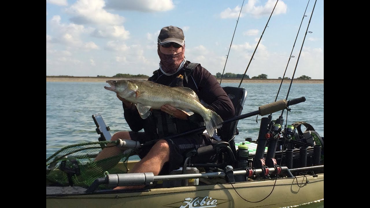 Grafham Water 10lb 11oz Zander Z-MAN lure (FV8) - YouTube