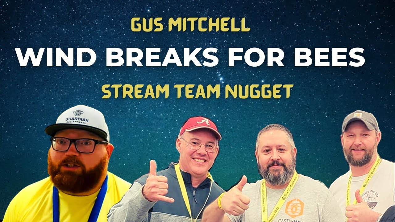 GUS MITCHELL - Wind Breaks for Bees | Stream Team Nugget - YouTube