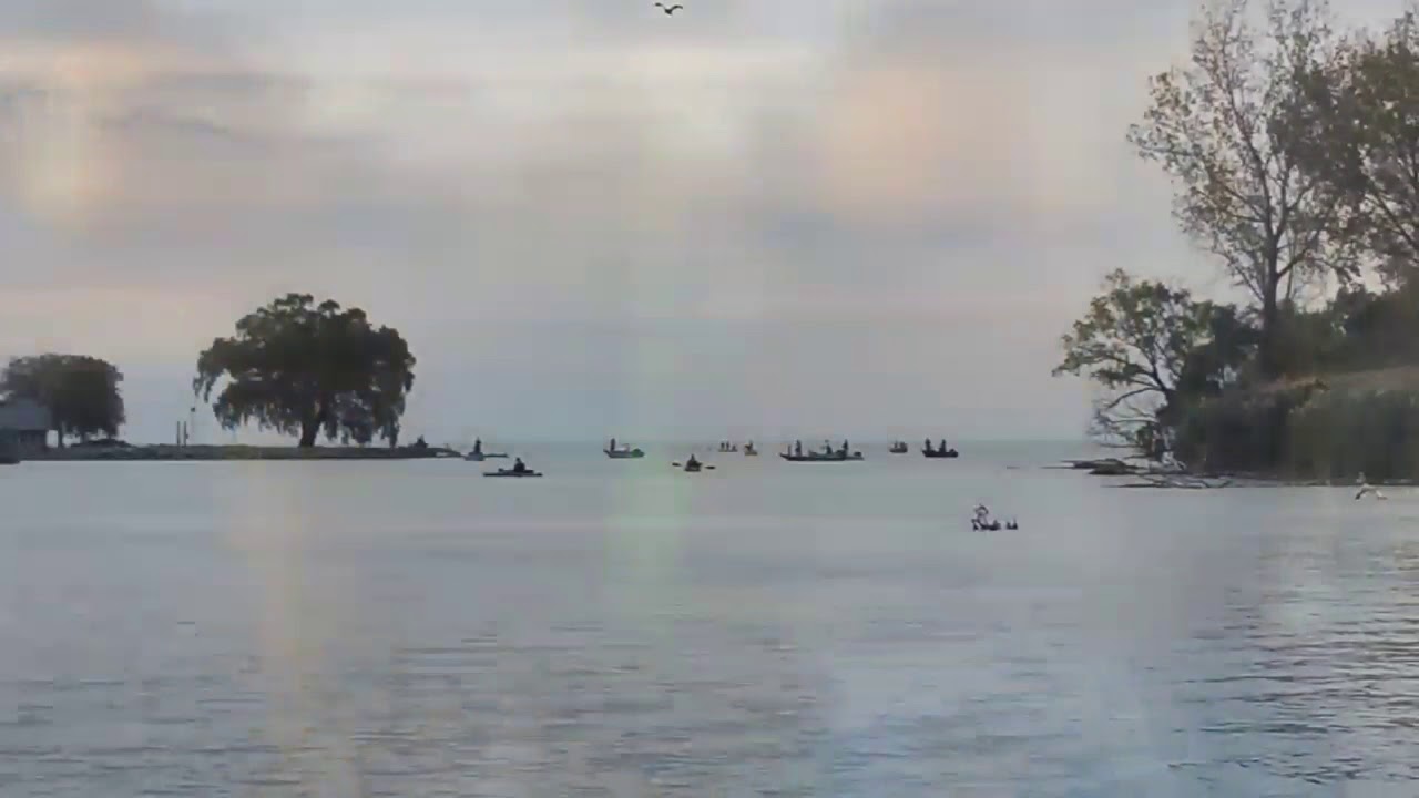 Lake St. Clair Musky (Lighthouse-Cove) October 21, 2017 - YouTube