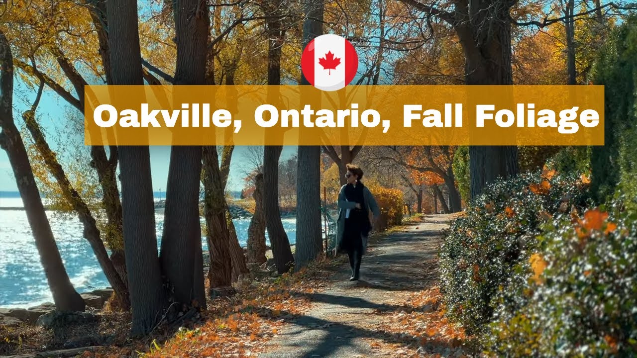 Fall foliage in Oakville, Ontario, Canada - MUST SEE! - YouTube