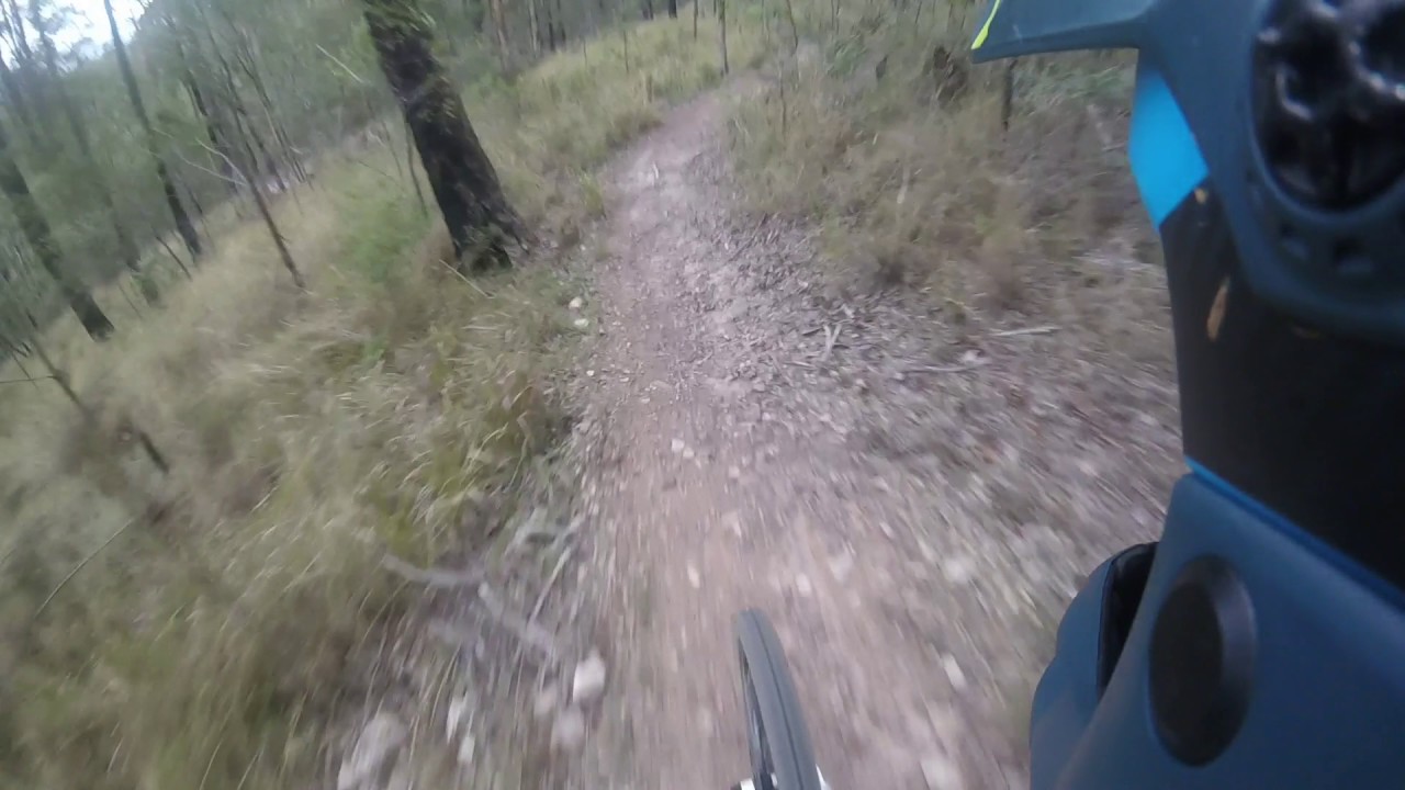 Exploring Old Tambo - Mt Tamborine QLD - YouTube