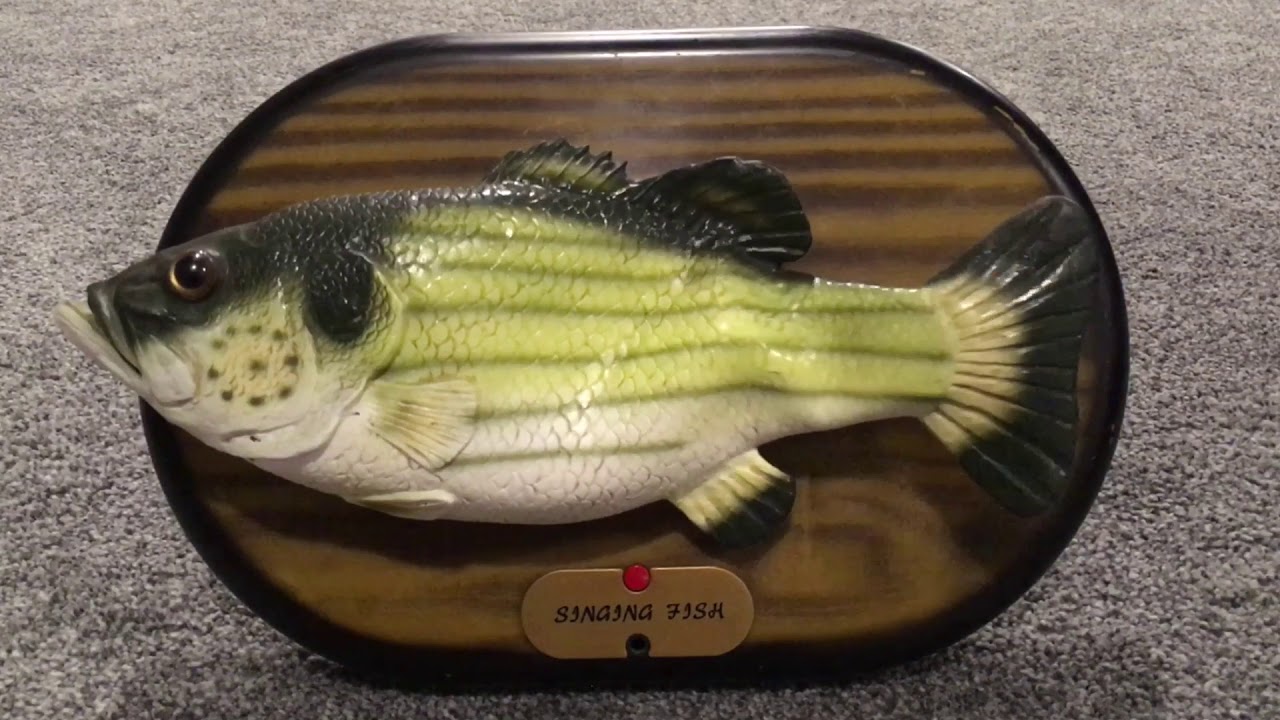 Singing fish - YouTube