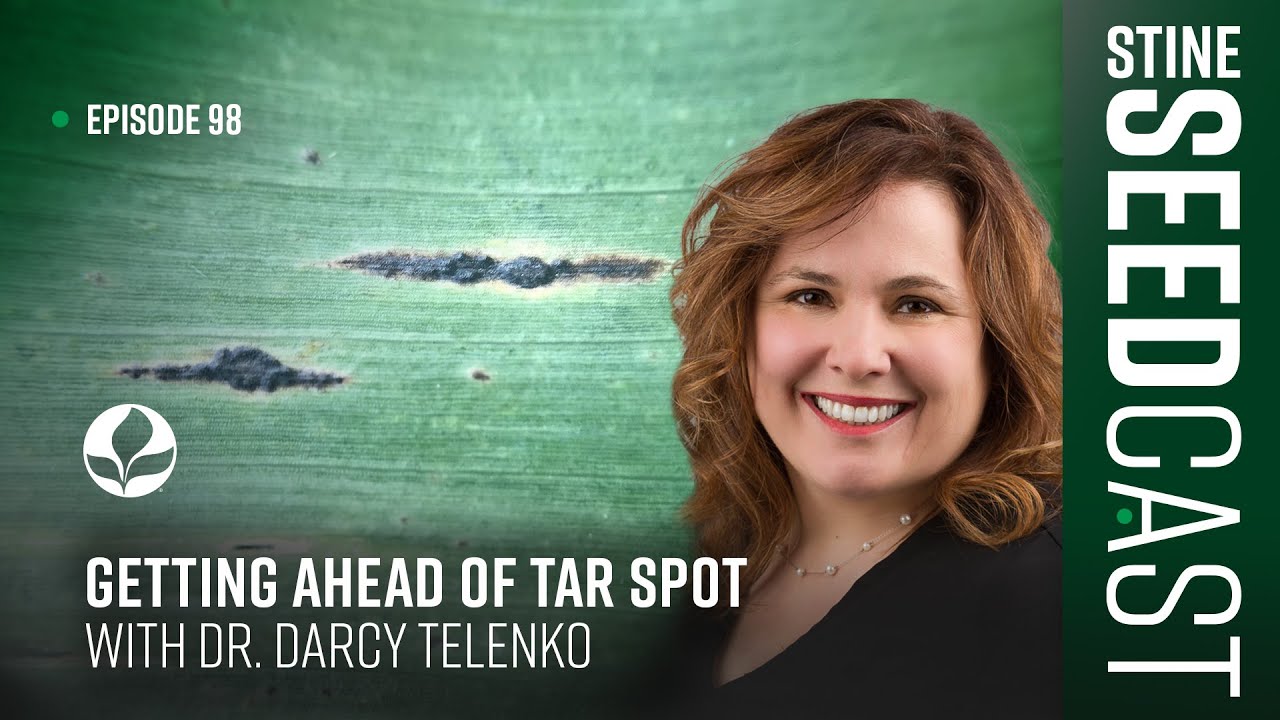 Getting Ahead of Tar Spot With Dr. Darcy Telenko - YouTube
