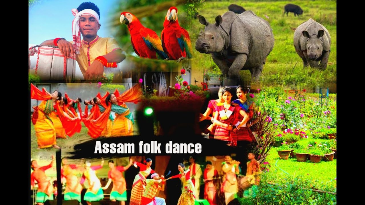 Beauty of Assam || Culture of Assam || India's most beautiful State ...