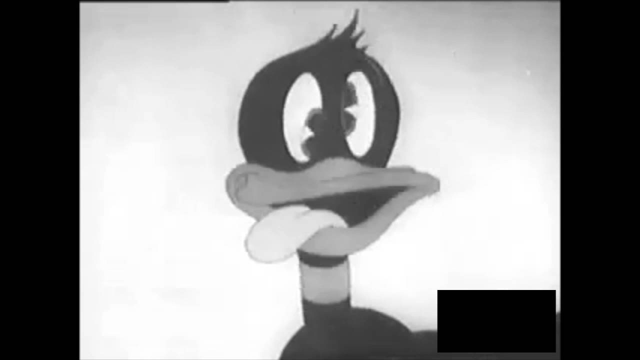 A Coy Decoy - YouTube