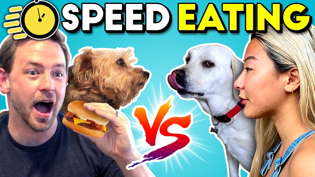 Dogs And Humans SPEED EATING CHALLENGE! | People Vs. Dogs Vs. Food ...