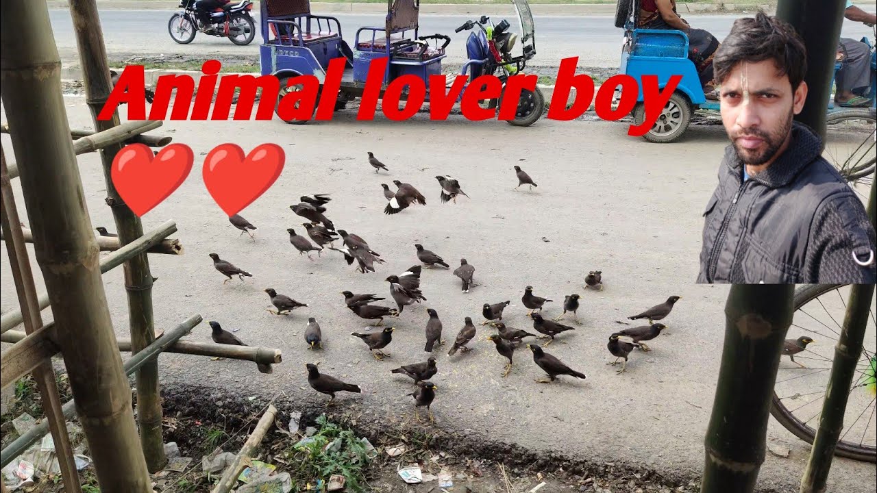 Animal lover boy//পশু প্রেমিক ছেলে। - YouTube