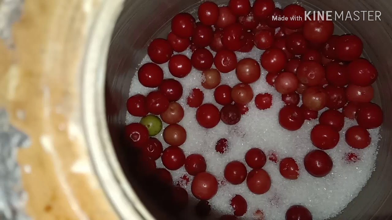 Lubica Wine / Lovlolika wine / Roobikka wine - English version - YouTube