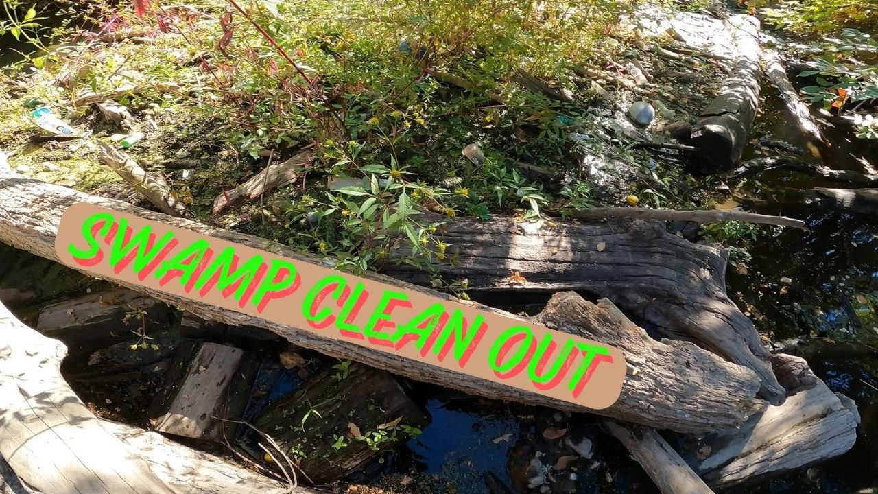 Swamp Clean Out | Cutting the Trail - YouTube