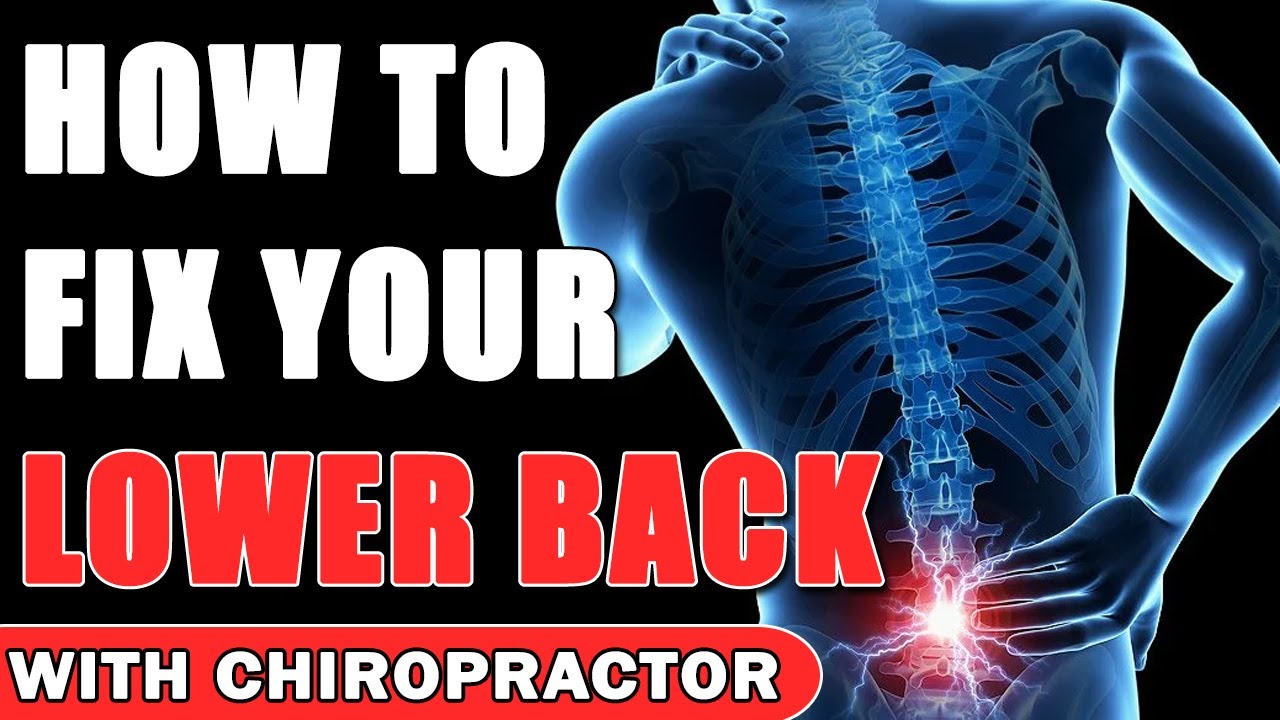 How To Fix Your Lower Back - YouTube
