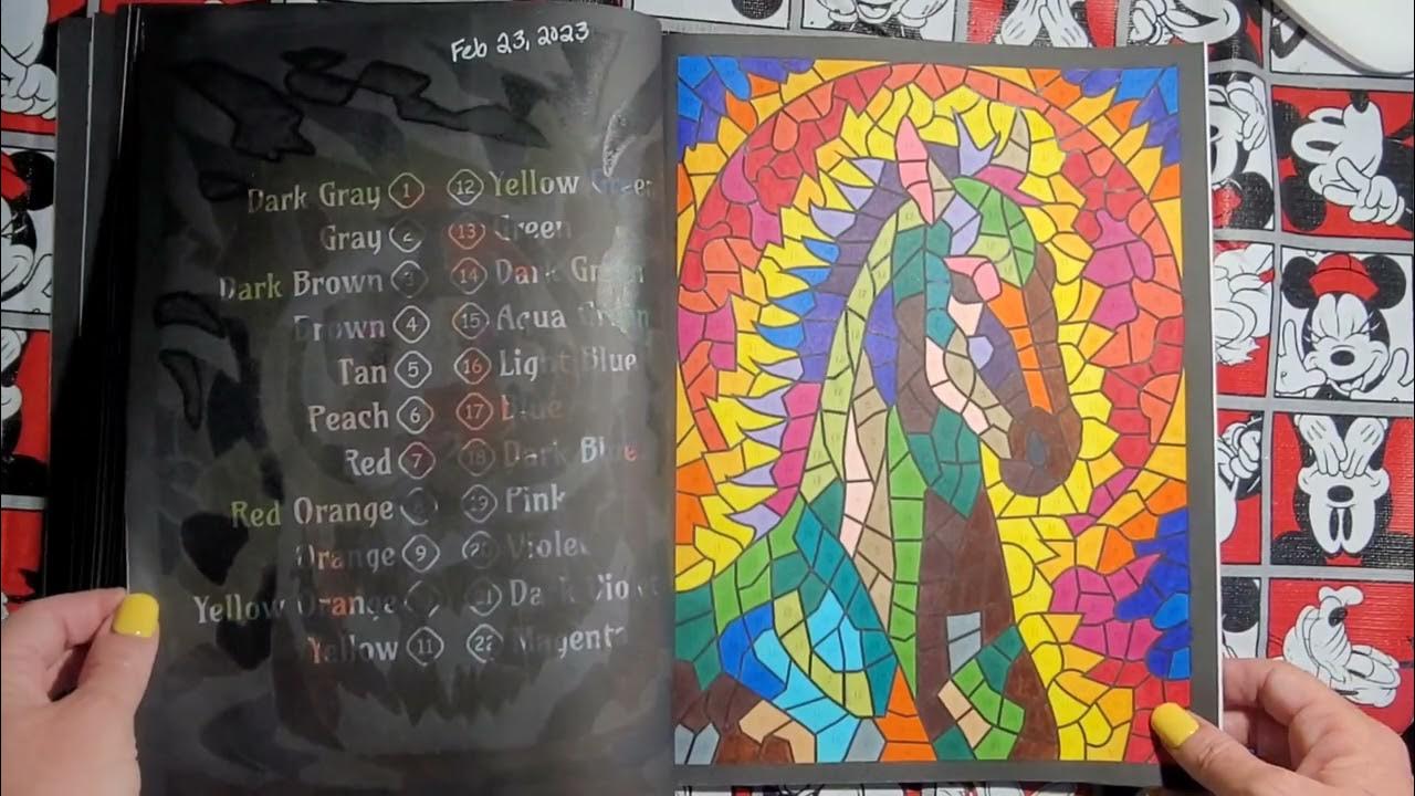 Completed Book- Animal Mosaics Color By Number Sunlife Drawing - YouTube