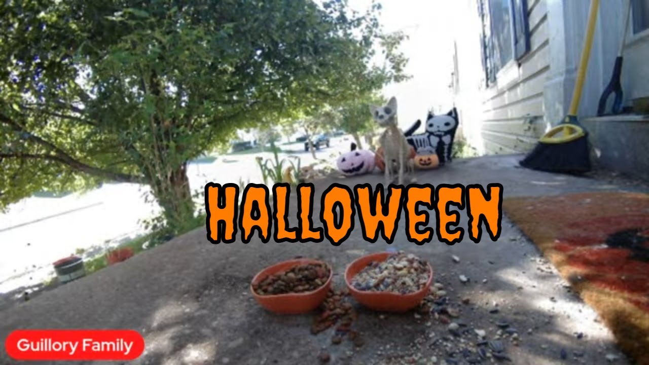 Halloween Live Stream Day 1 ! 🎃 - YouTube