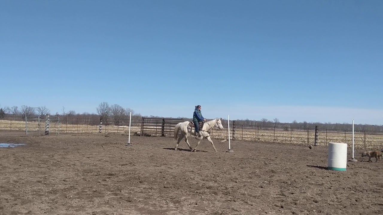 3/31/20 horses at Tuff Enuf Ranch(1) - YouTube