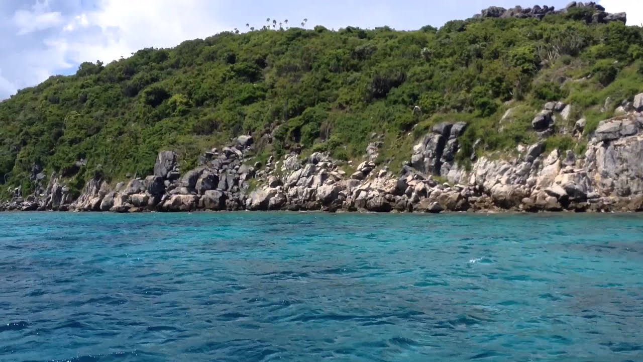 Congo Cay - YouTube