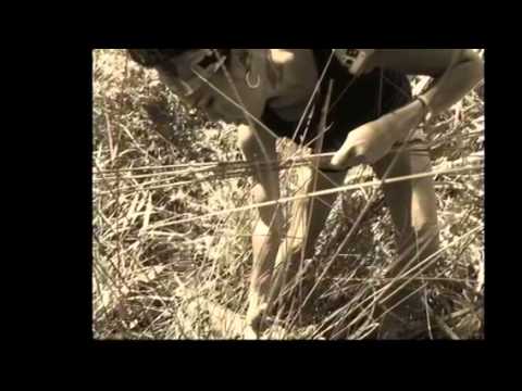 Blak lullabye - Welcome to Country, featuring Tracey Mazzoni, Amanda ...