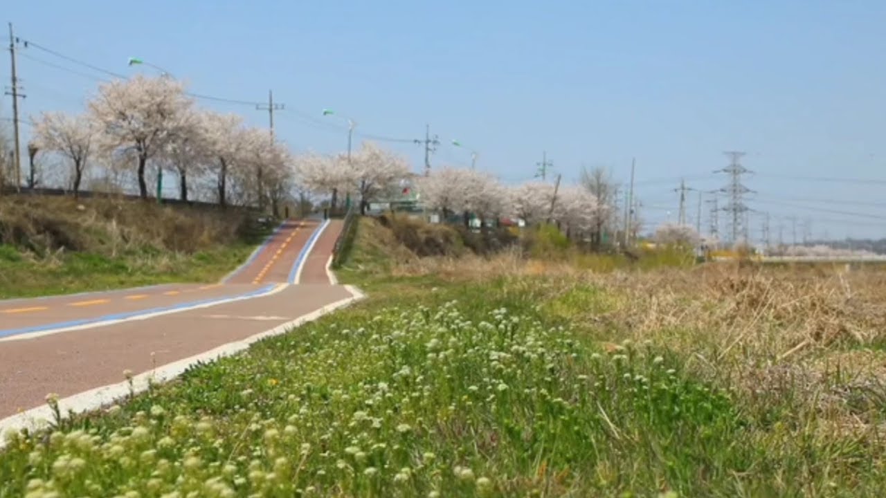 Relaxing Spring Meadow Ambience - Nature Sounds for Calming - YouTube