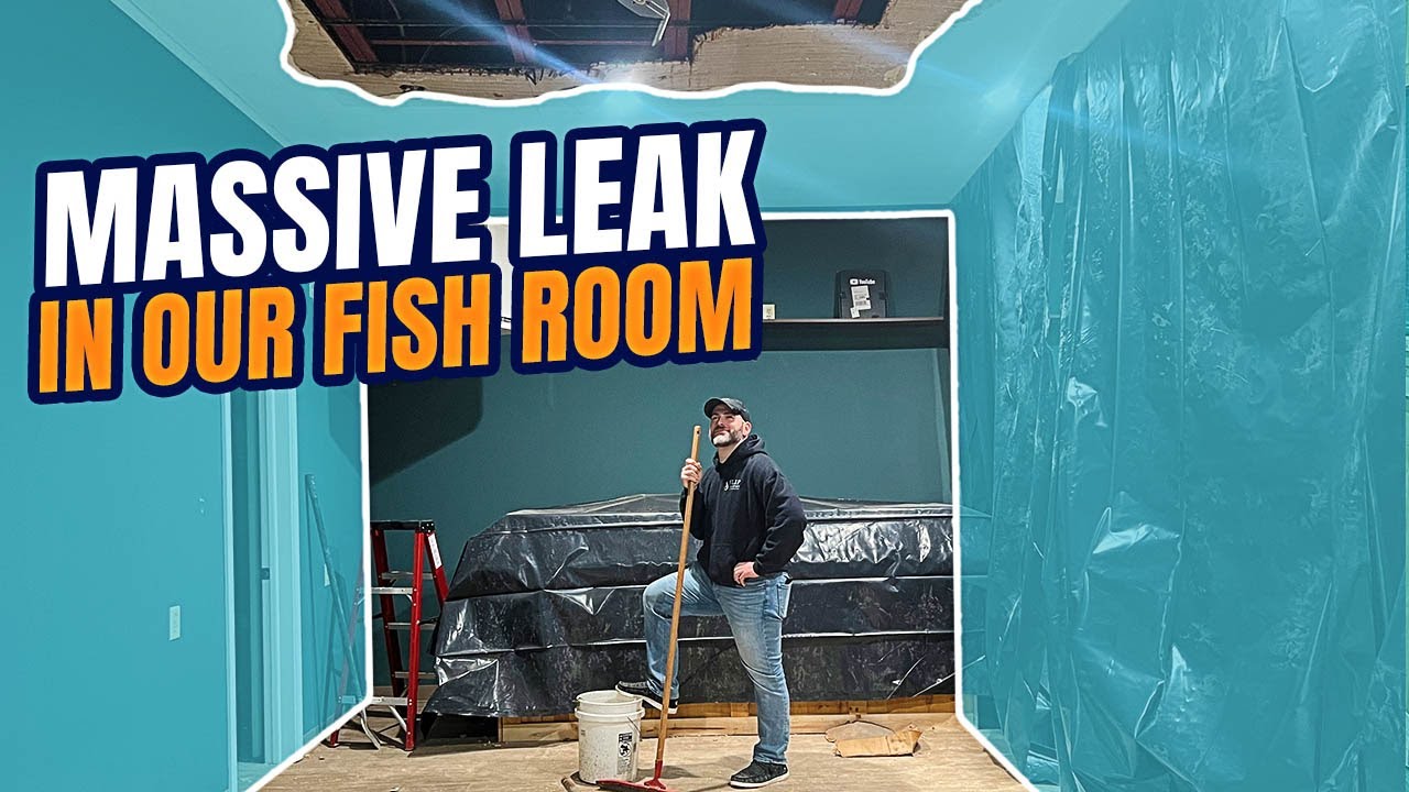 Ceiling Collapsed in the Fish Room [DISASTER] - YouTube
