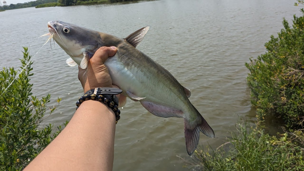 PEACEFUL Fishing 4K MAY 2024 - YouTube