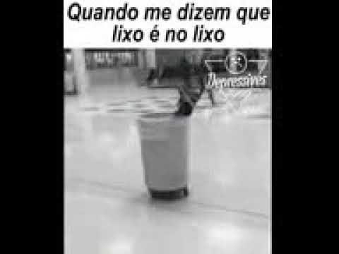 Meme lixo no lixo - YouTube