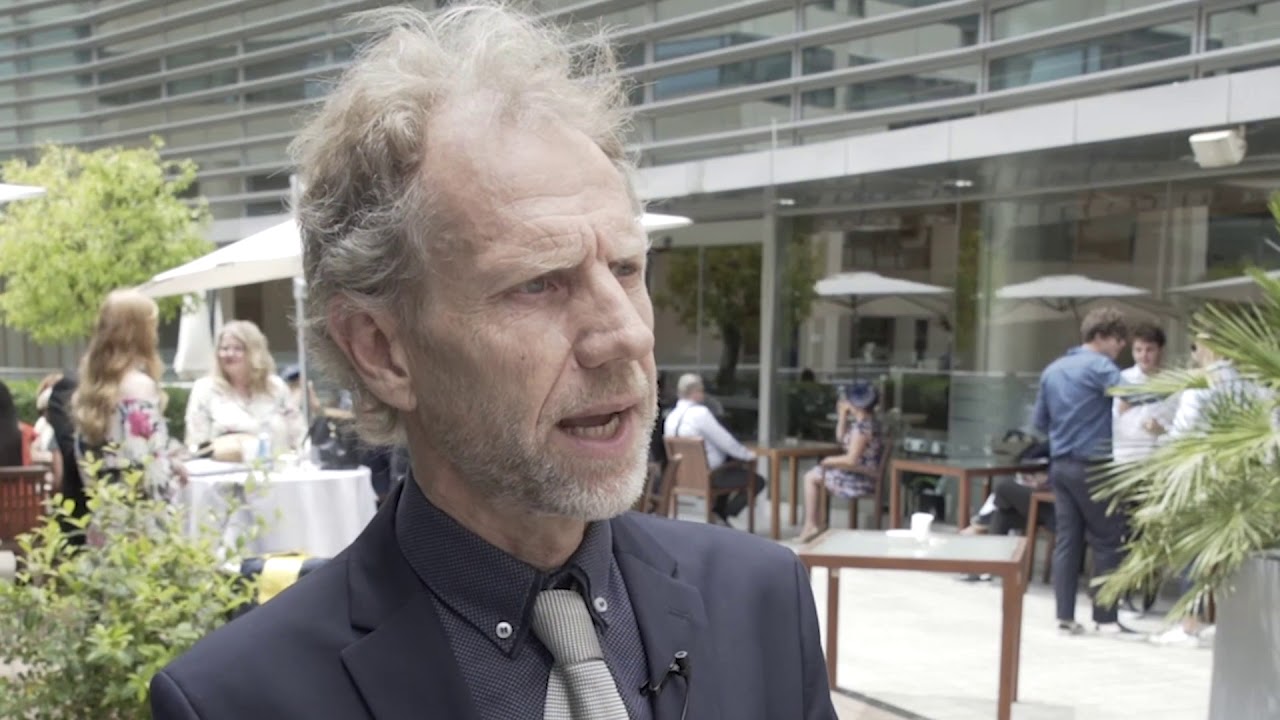 UIBS faculty interview with Professor Frank Hendrickx - June 2019 - YouTube