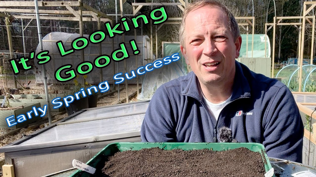 See How Well These First Seeds, Spring Bulbs and Fruit Canes Are ...