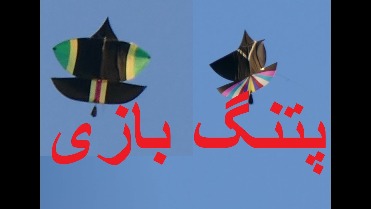 Patang Bazi Canada ( Kite Fighting ) Kite Flying Pipa Combate I Basant ...