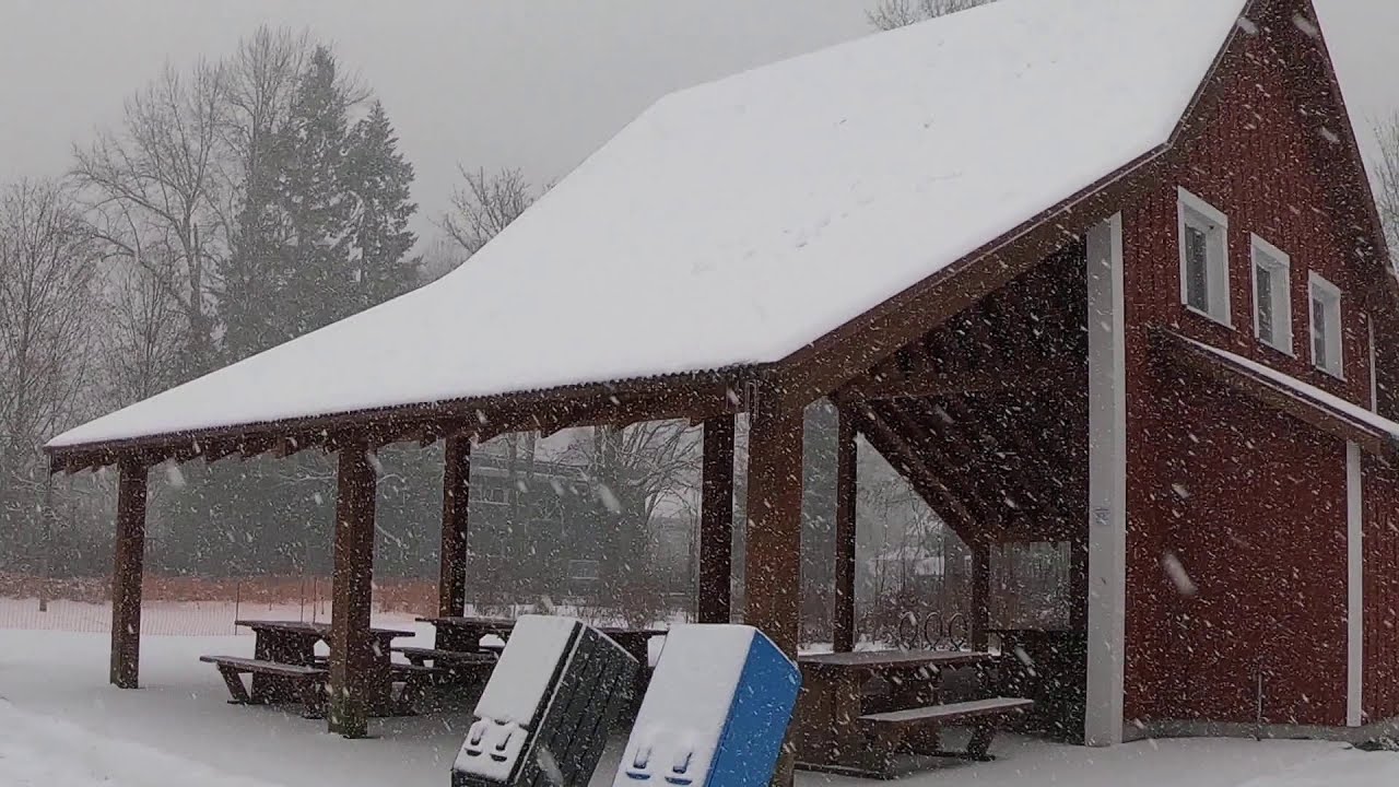 Snow falls in the Issaquah WA. - YouTube