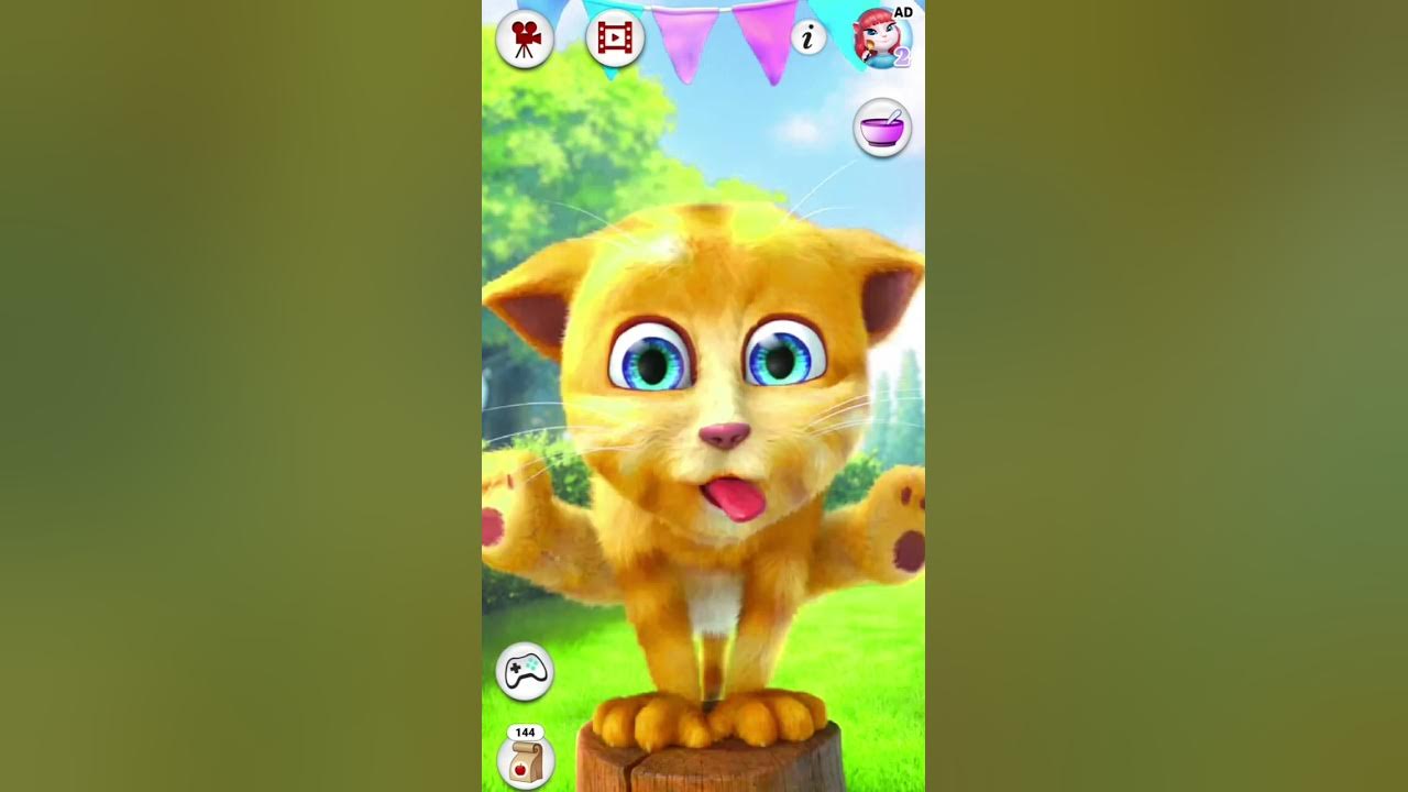 New Talking Ginger Funny Video Youtube