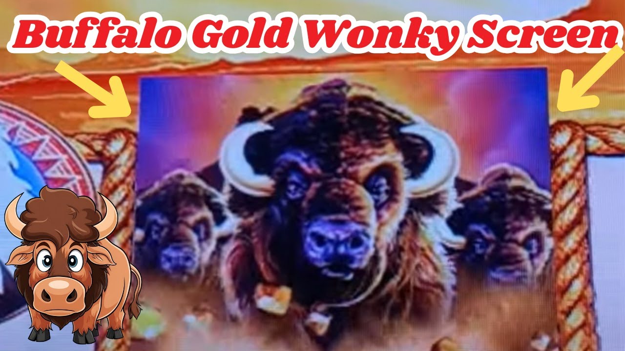 Buffalo Gold Wonky Screen - YouTube