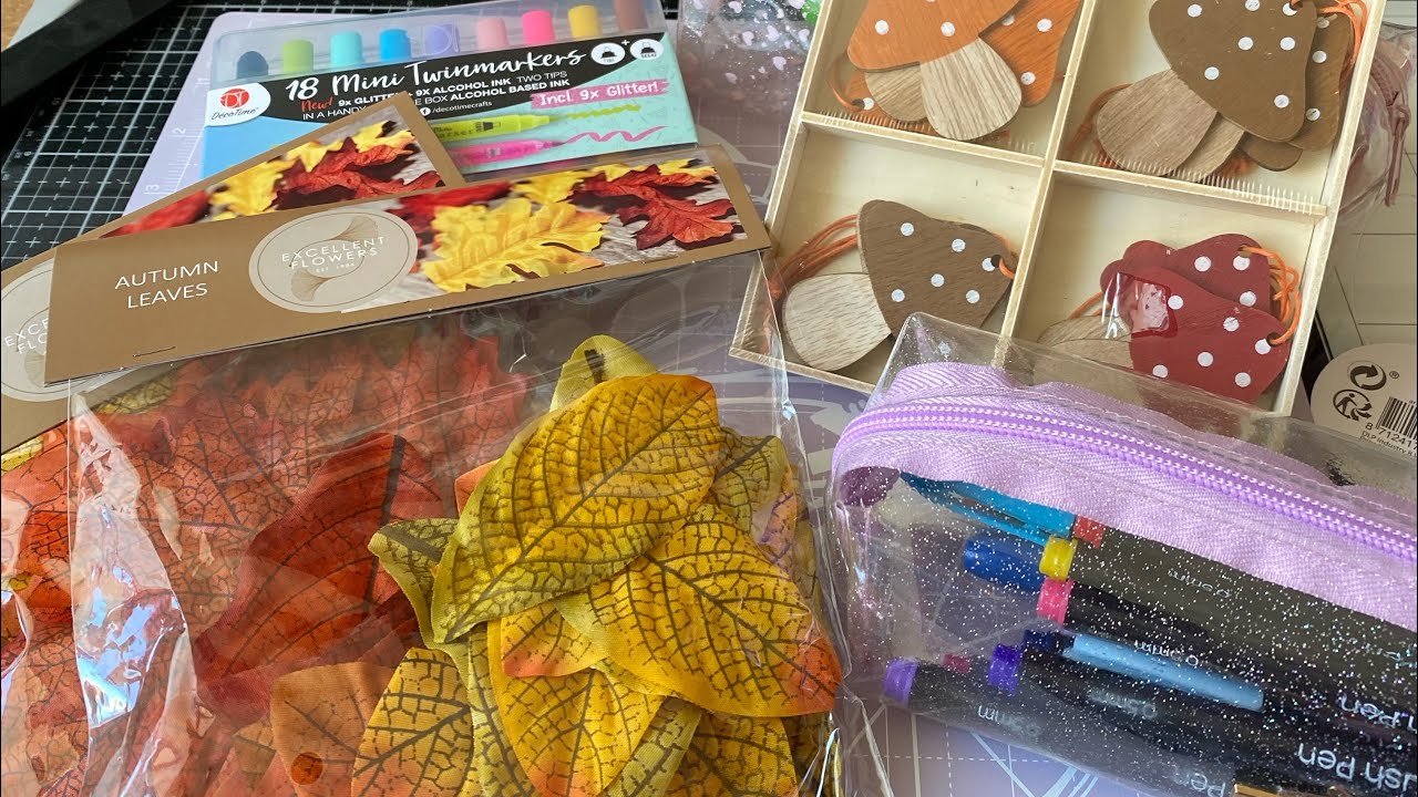 Haul scrap action ce n’est pas de ma faute (@titie et l univers de ses ...