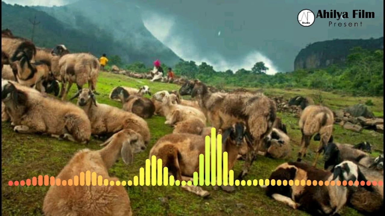 Dhangar - Dhangar Song | आम्ही जातीचं धनगर | Folk Songs - YouTube