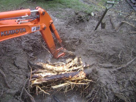 Tree stump removal with pressure washer - YouTube