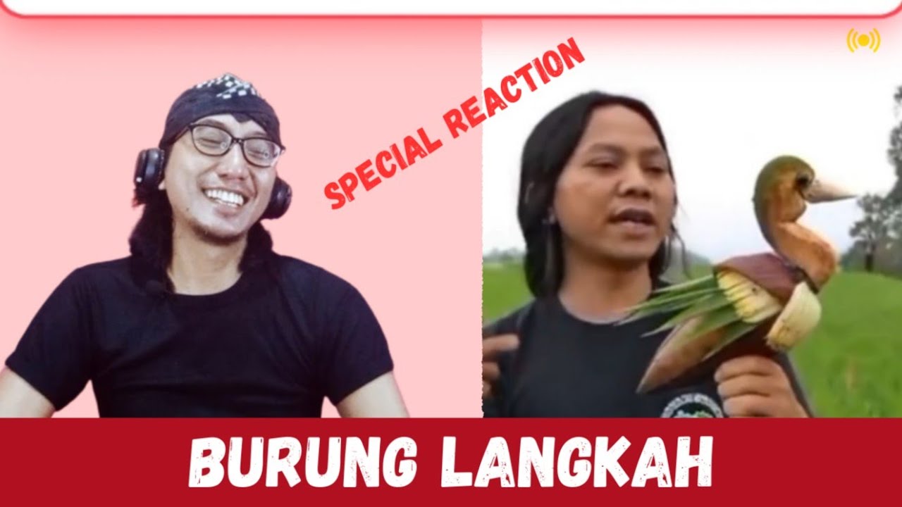 Aneh Tapi Nyata || Reaction Meme Kocak #reaction - YouTube