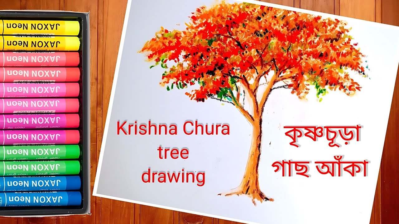 How to Draw kreshna chura tree in Spring| কৃষ্ণচূড়া ফুলগাছ আঁকার ...